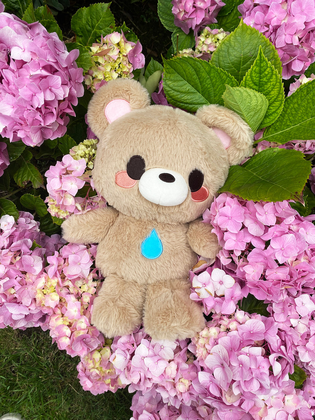 Boone Bear Plushie Toy – MOIST GANG