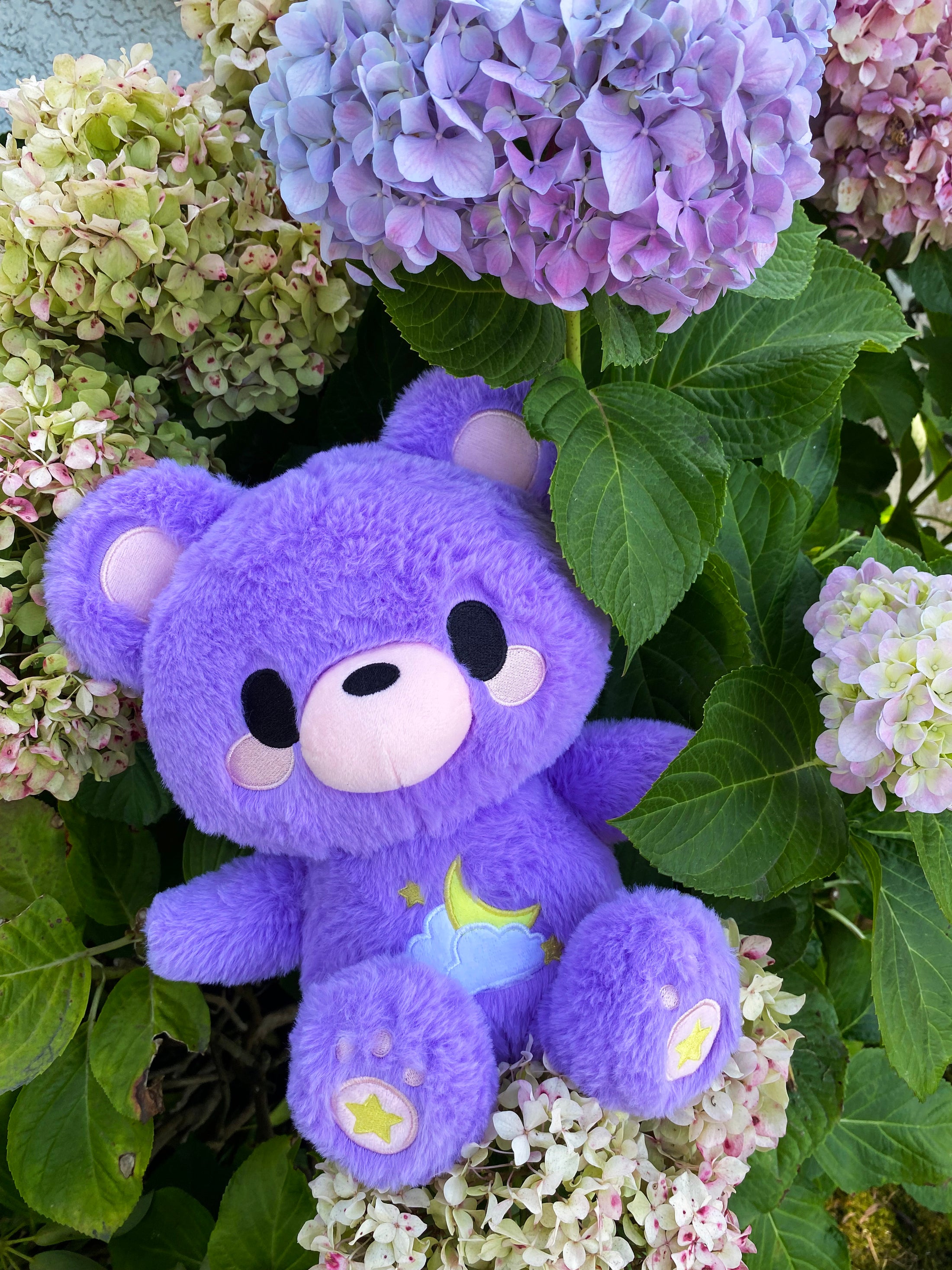 Bia Bear Plushie Toy – MOIST GANG